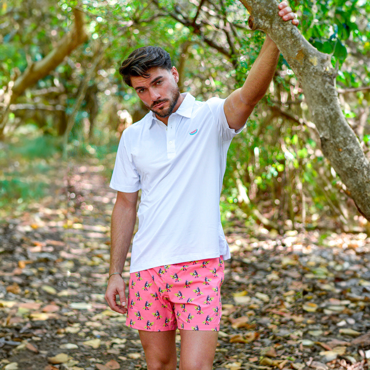 Monkey Swim Trunks – Bermies